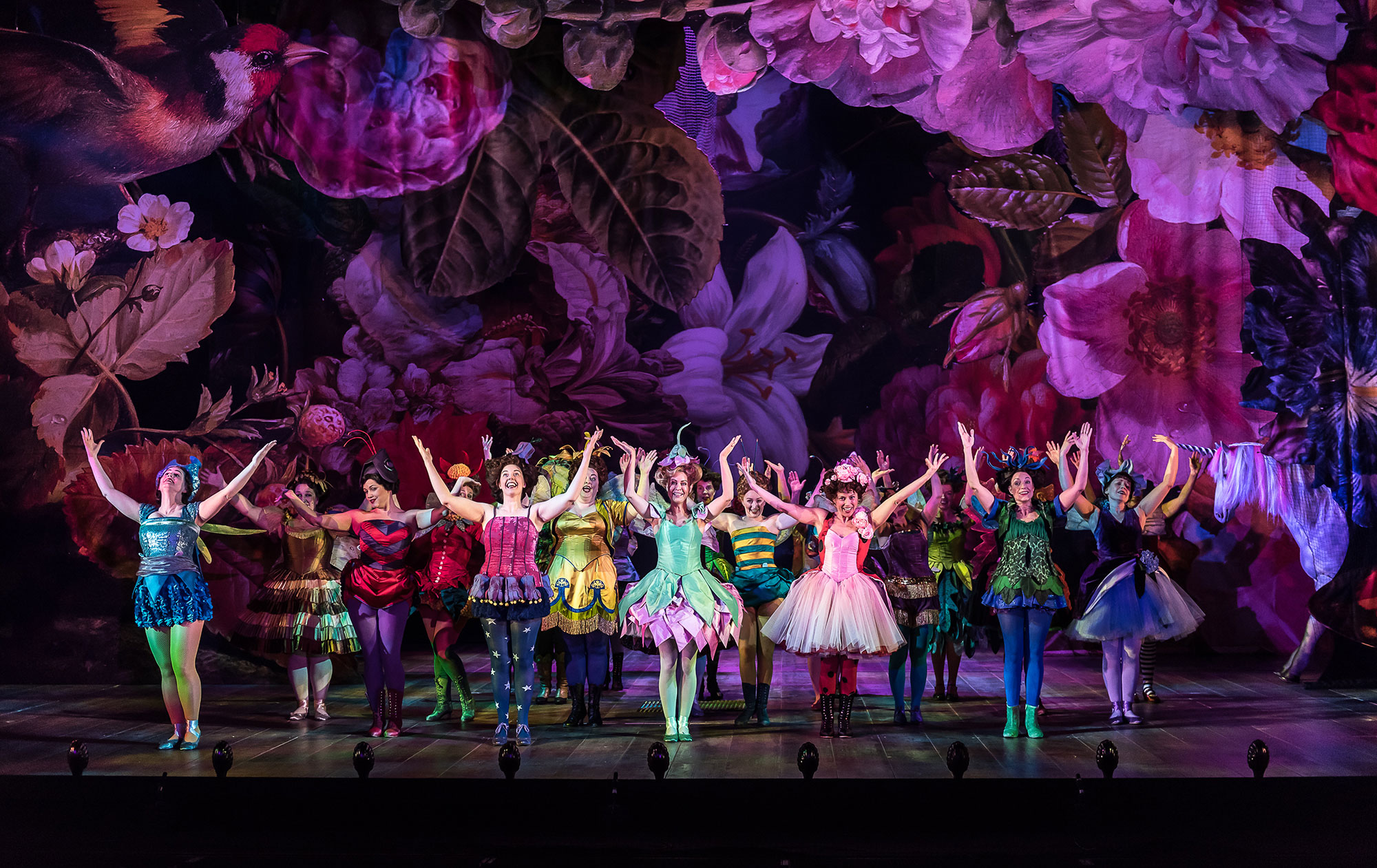 The Story of Iolanthe: Songs, Synopsis & More | ENO